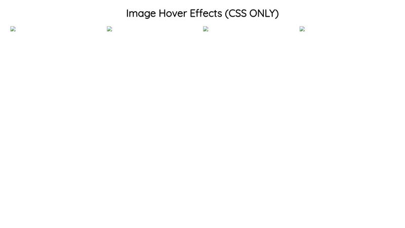 Image Hover Effects (CSS ONLY)