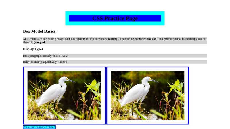 CSS Practice Starter-02-Box Display Type