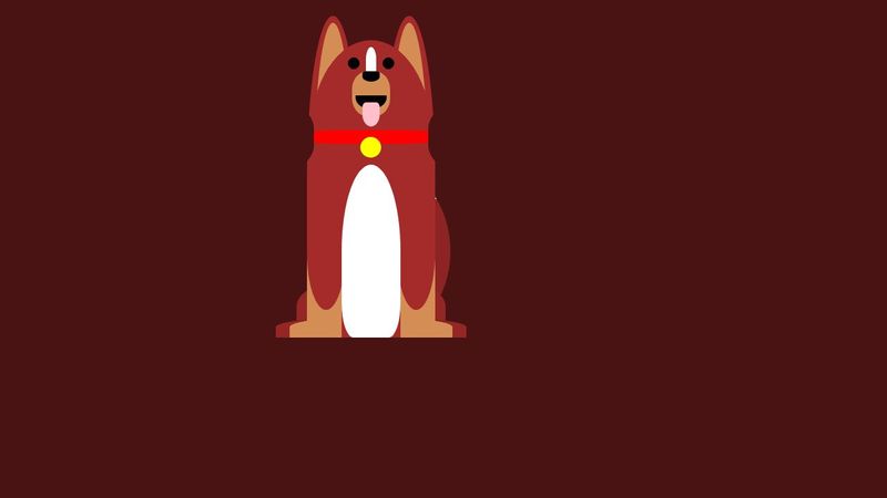 CSS Dog