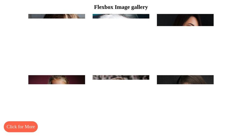 Simple Flexbox Responsive Image gallery