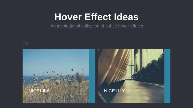 many different hover effect