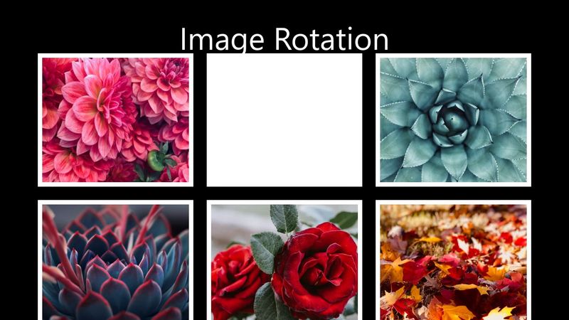 3D Image Rotation || HTML/CSS