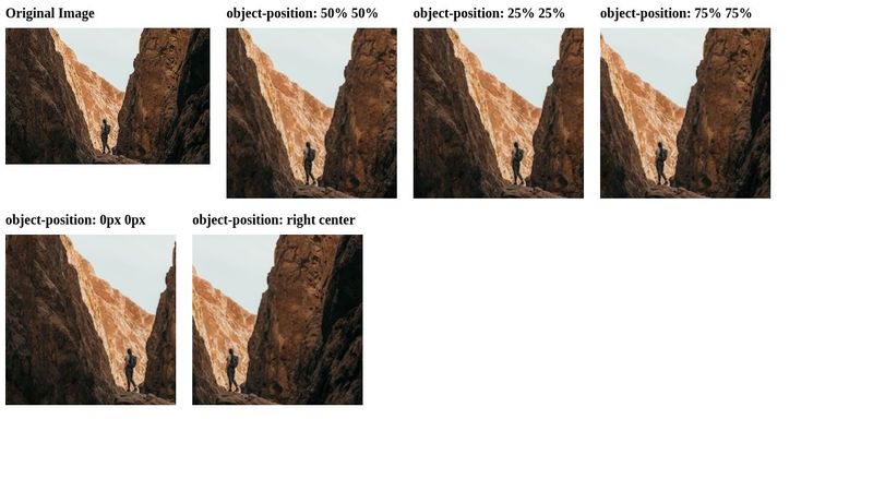 css object fit: object position
