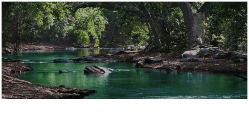 css background-image zoom animation