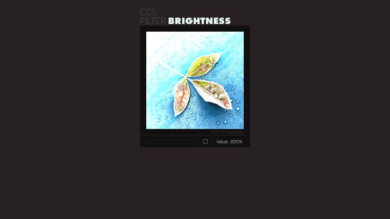 CSS Filter - Brightness