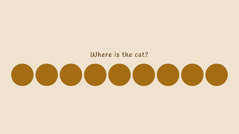 Practice JS - a flip game to search cats