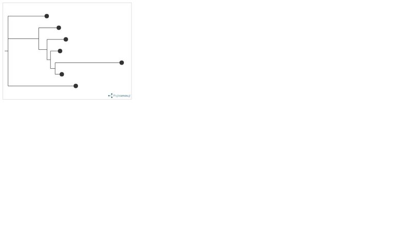 PHYLOCANVAS.GL Examples - Basic Example