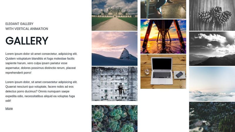 Vertical Slide Gallery with hover (css only)