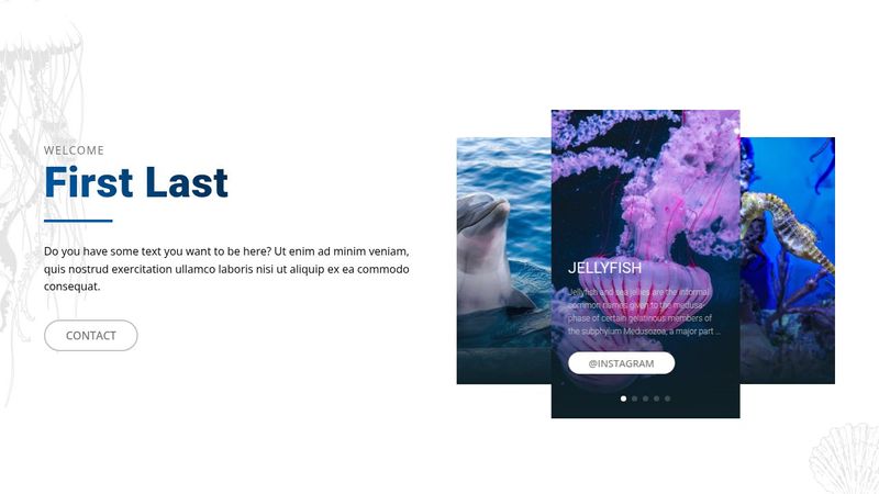 Landing page with swiper #css #swiper.js