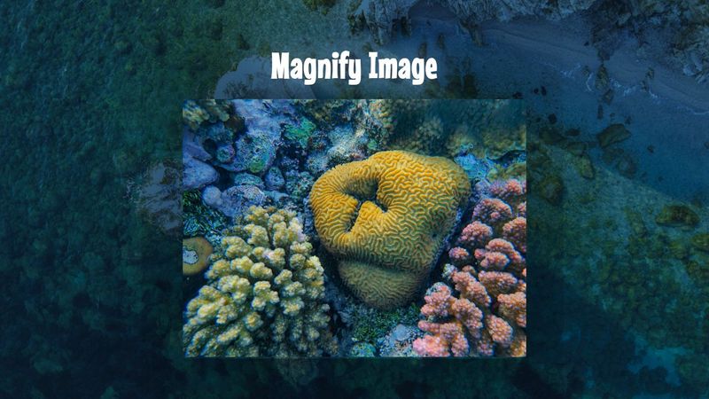 Magnify Image Jquery