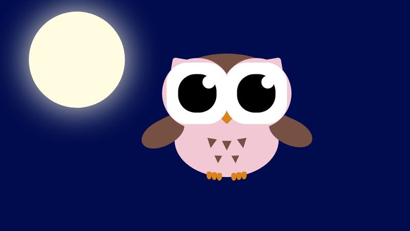 CSS Owl