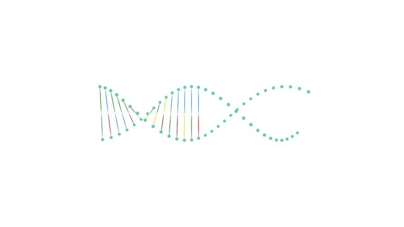 CSS DNA Animation v2