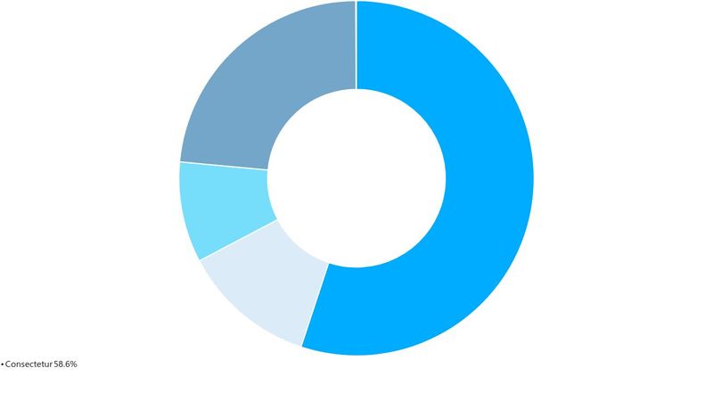 Doughnut chart (Chart.js)