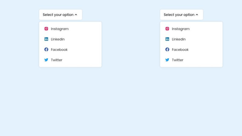 Custom Dropdown Select Menu
