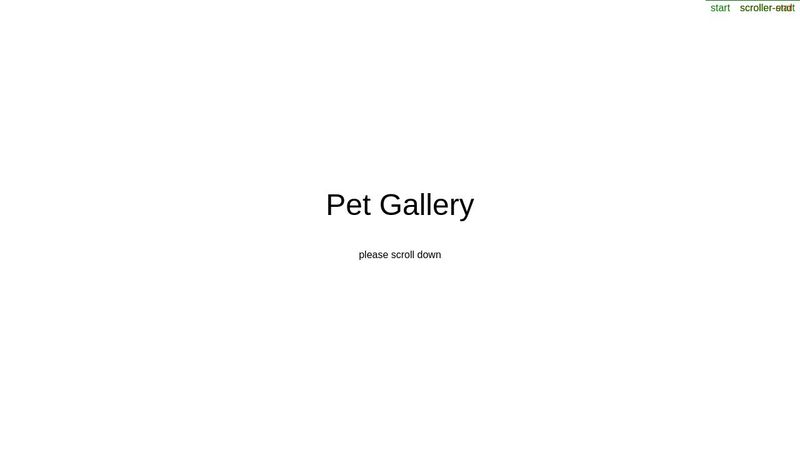 Little Things Codepen Challenge