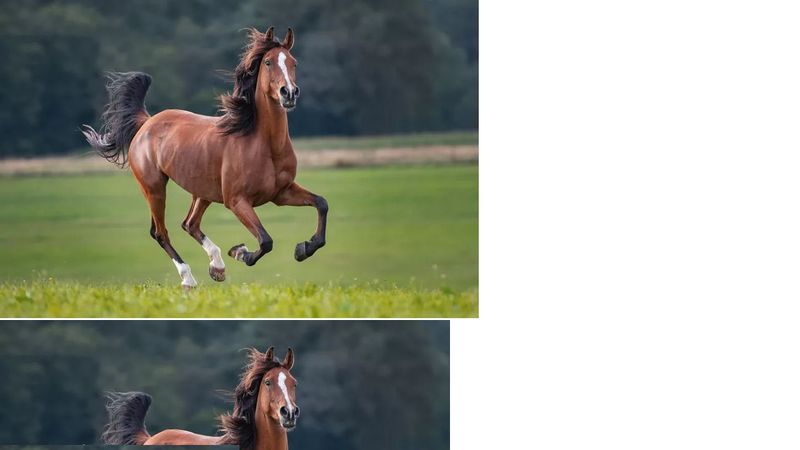 Pure CSS Horse