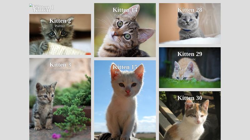 CSS Column Cats