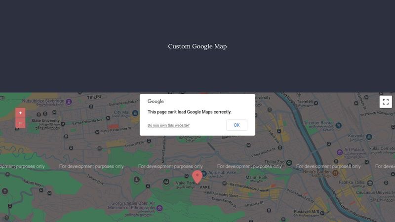 Custom Google Map