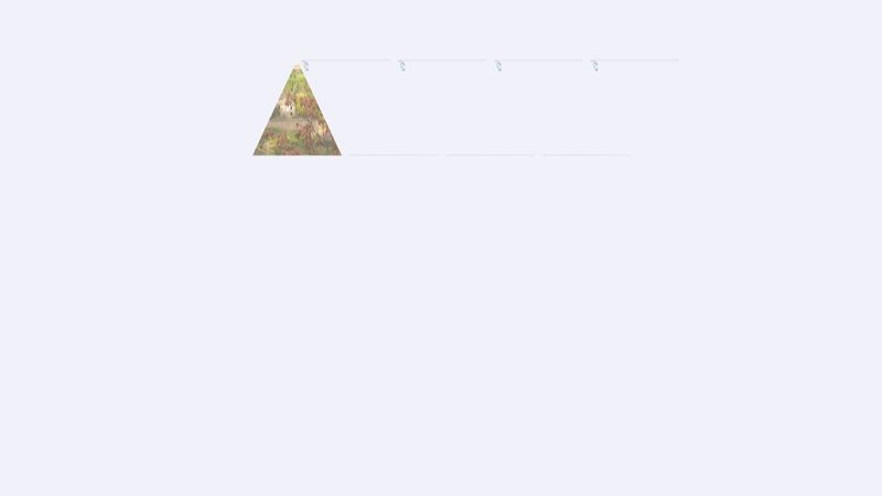 CSS Triangle Image Crop