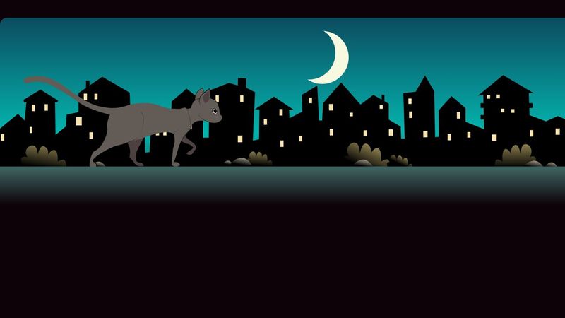 cat walking - 2 - CSS Art