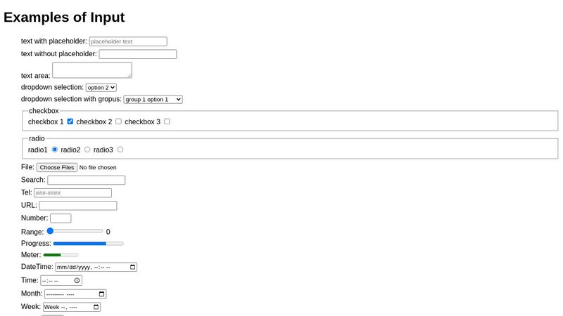 Html Input 