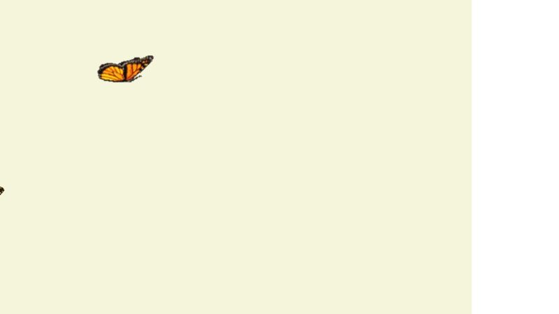 CSS Butterfly