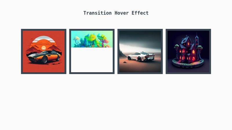 Transition Hover Effect