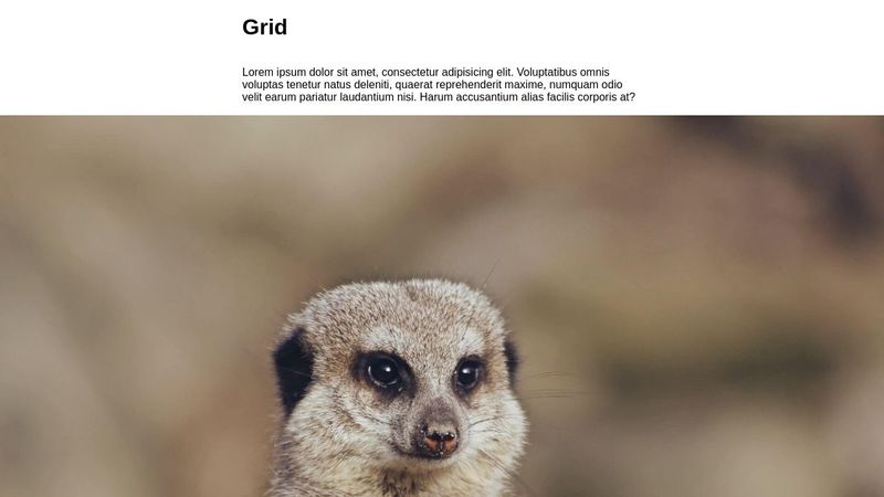 CSS Grid vs Flexbox full-bleed layout