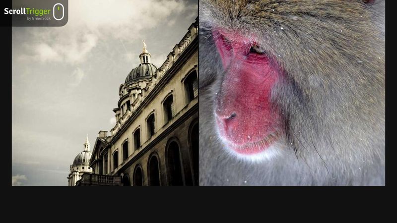 Skew on scroll using scroll velocity - ScrollTrigger