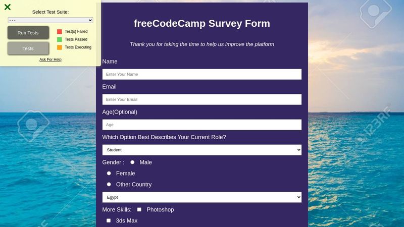 Survey Form (Freecodecamp)