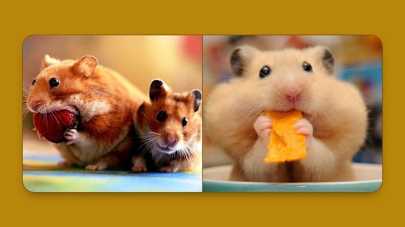 Animating grid-column on hover