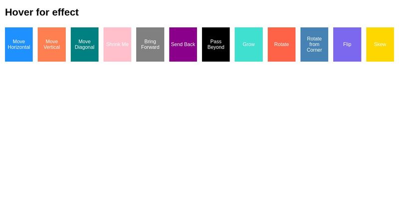 Basic CSS Transform Animations