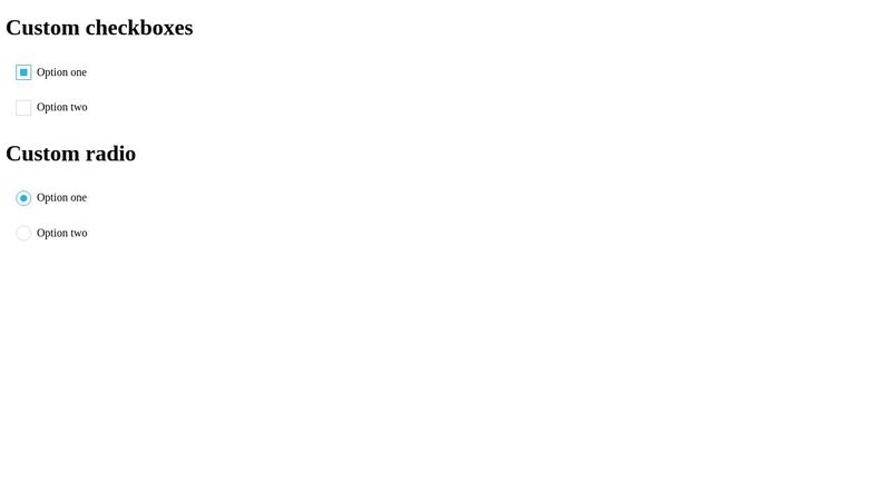 Custom Radio + Checkbox Input