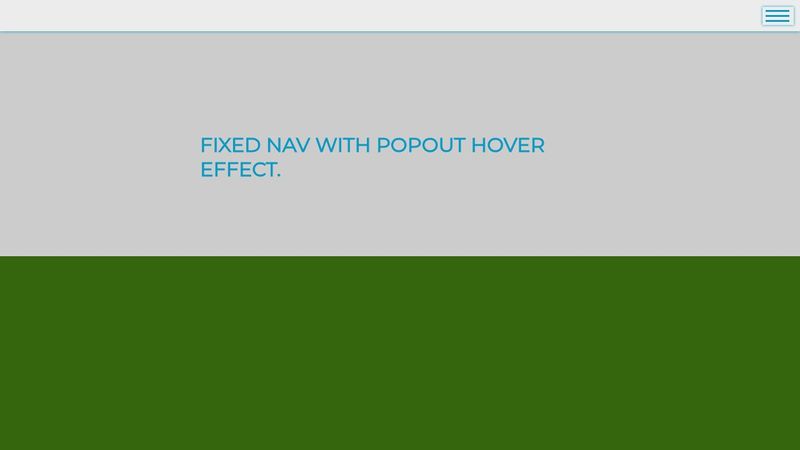 Fixed nav with popout hover effect.