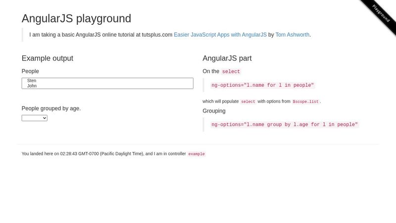 AngularJS playground