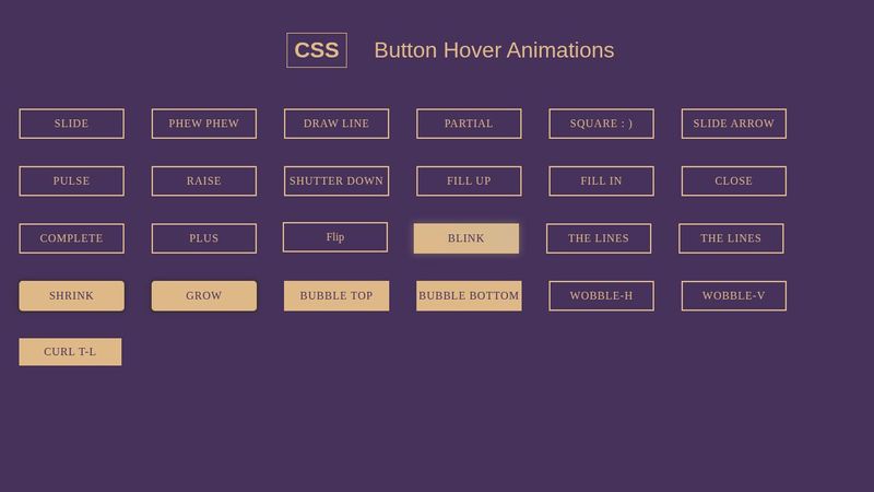 CSS Button Hover Animations