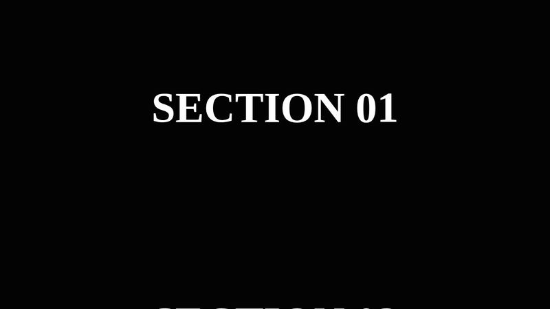 Animated Number Counter with Vanilla JavaScript