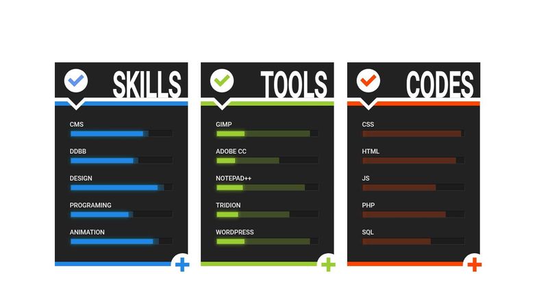 Animated Skill Meter - CSS