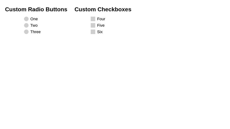 Custom Inputs - Radio and Checkbox Buttons