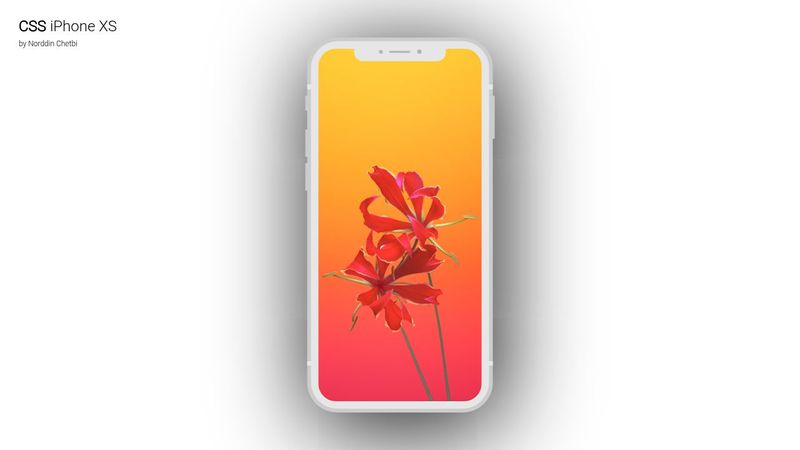 CSS iPhone XS