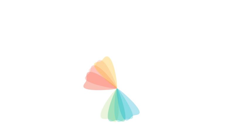 blooming flower by SVG +CSS3 rotate transform animation