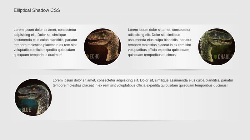 Elliptical Shadow CSS