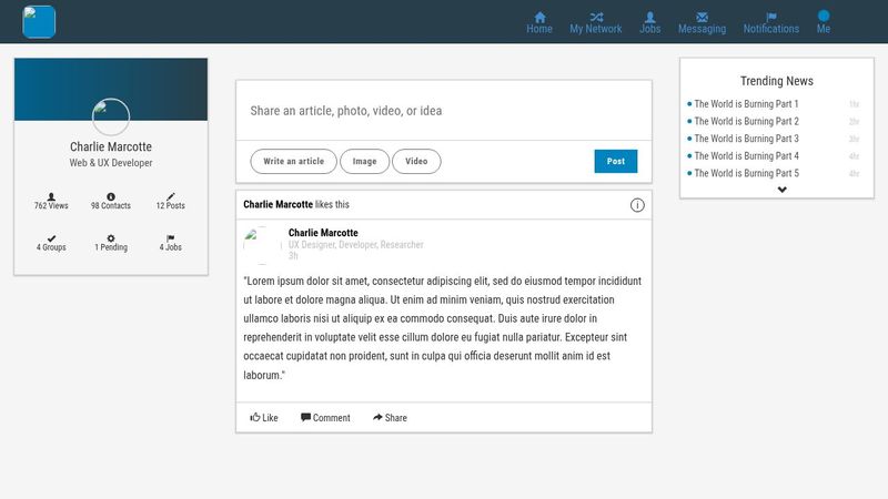 All CSS Interactive Prototype (CSS Grid, Checkbox Hack)