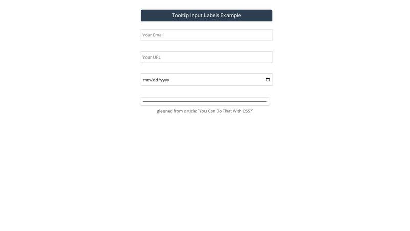 Tooltip Input Labels Example