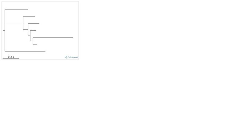 PHYLOCANVAS.GL Examples - Scalebar Example
