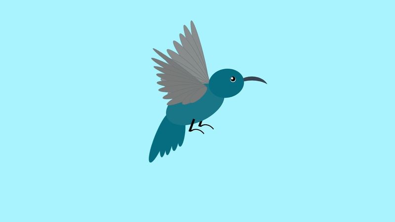 bird - css