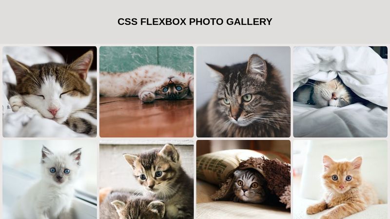 CSS Flexbox Photo Gallery