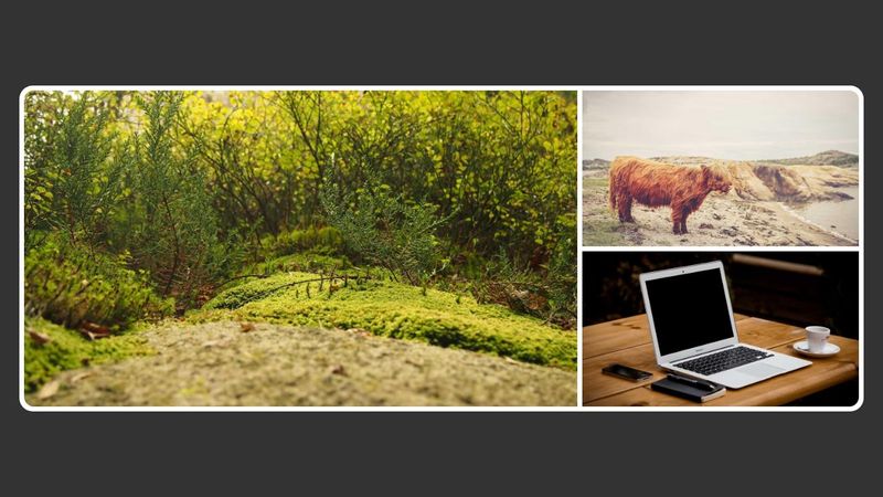 Responsive CSS Grid Image Gallery Layout with Gap