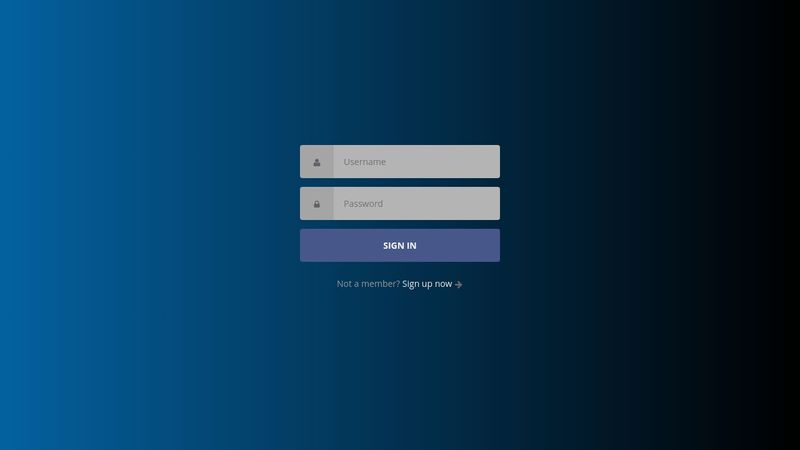 Login Form Validation Vue Js