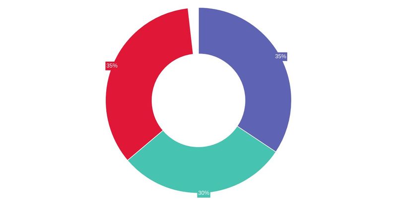 Chart js Doughnut Chart with Label Plugin Example